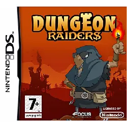 Jeu DS DUNGEON RAIDERS - DEALiCASH