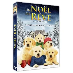 Dvd Un Noël de rêve DVD - DEALiCASH